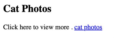 Step Cat Photo App Html Css The Freecodecamp Forum