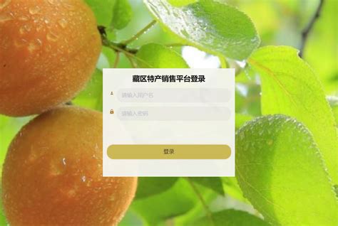 基于javaspringboot 的藏区特产销售平台 Csdn博客