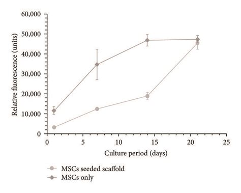 Msc Proliferation On Hybrid Scaffolds Msc Embedded Hybrid Scaffolds