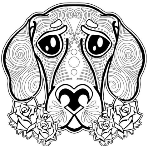 Lámina Beagle Para Colorear Guau