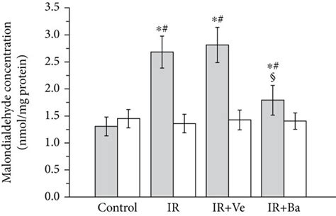 Effects Of Testicular Ischemia Reperfusion Ir Testicular Irvehicle