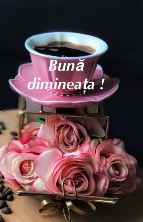 Pin von Nusa H auf Bună dimineața Sprüche
