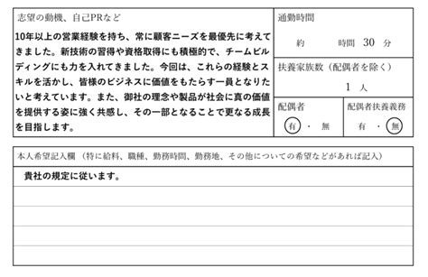 履歴書テンプレート（excel・word・スプレッドシート・g Docs） 解説・見本付 ビズ研