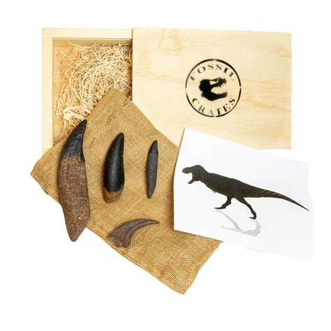 Fossil Crates Catalog