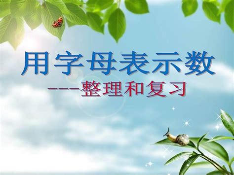 新课标人教版六年级数学下册《总复习 用字母表示数ppt课件》word文档在线阅读与下载无忧文档