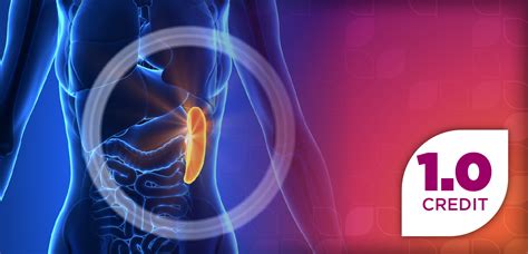 Fda Approves Zoster Vaccine Recombinant Prefilled Syringe Presentation For Shingles Prevention