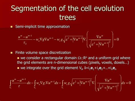 Ppt 4d Numerical Schemes For Cell Image Segmentation And Tracking Powerpoint Presentation Id