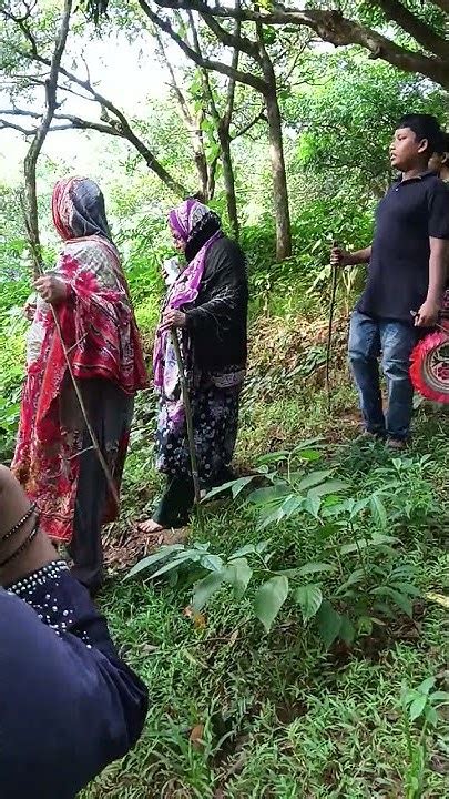 জঙ্গল বন ৩ Youtube