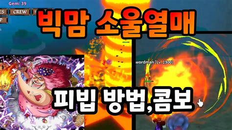 킹피스 소울소울 열매 콤보와 피빕방법 Youtube
