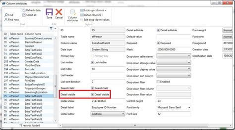 A Guide On Customizing The Internal Database User Interface In