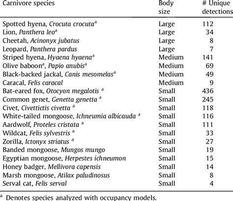 Total Number Of Unique Detections Maximum Value 1 Per Sampling