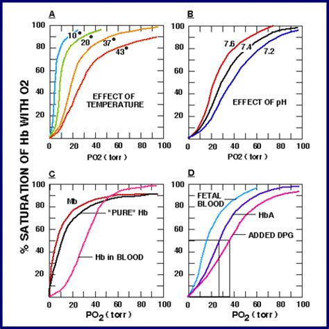 Mcat Major Topics Flashcards Quizlet