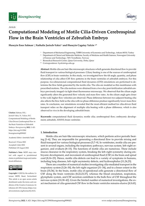 PDF Computational Modeling Of Motile Cilia Driven Cerebrospinal Flow