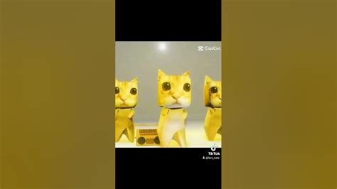 Cats When He Plays Roblox Youtube