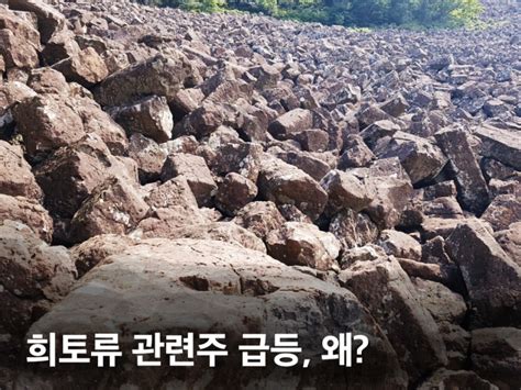 희토류 관련주 급등 왜 Feat 관련주 정보 포스코엠텍 유니온 유니온머티리얼 에스맥 노바텍