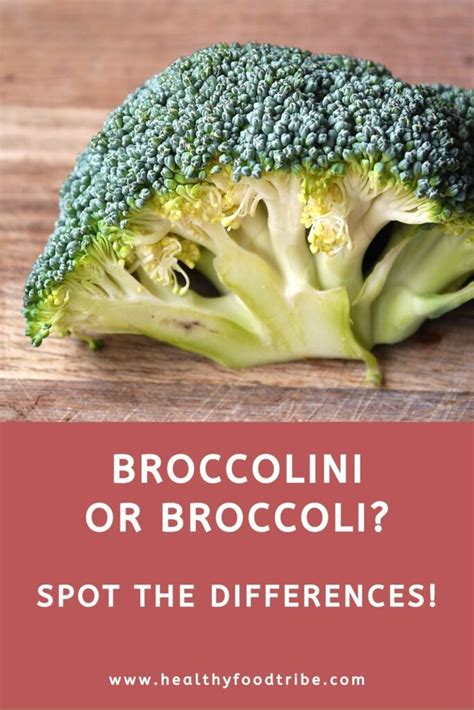 Broccoli Vs Broccolini Fodmap At Andrea Kirkham Blog