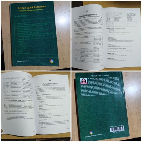 Python Programming Essential Syntax And Concepts Quantum Mind