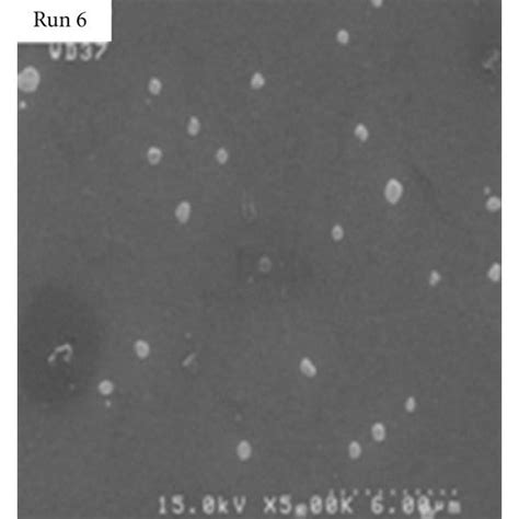 Particle Size Distribution Psd Of Paracetamol Particles At Different Download Scientific