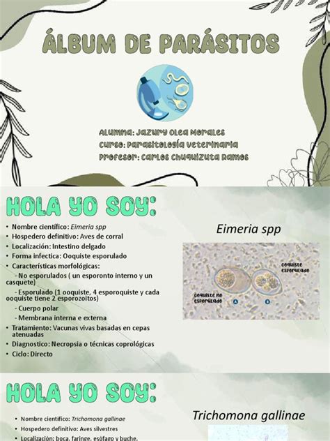 Album De Parasitos Jazury Olea Morales Pdf