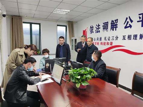 安庆市中院副院长程序来桐城调研矛调中心运行情况澎湃号·政务澎湃新闻 The Paper