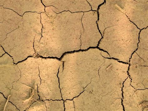 Desafío Hídrico Comarca Lagunera En Riesgo Por Escasez De Agua