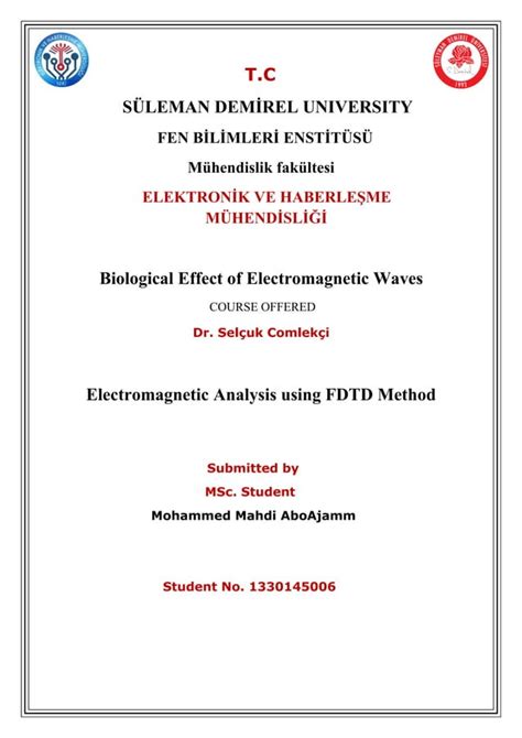 Electromagnetic Analysis Using Fdtd Method Biological Effects Of Em