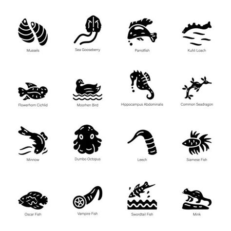 80 Polla De Agua Ilustraciones Fotografías De Stock Fotos E Imágenes