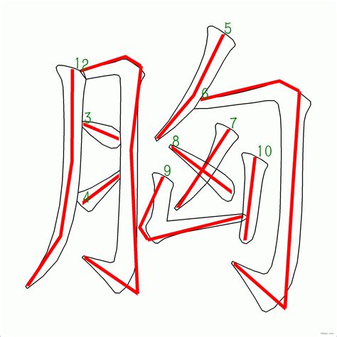 西字笔顺 多字笔顺 的字笔顺 第20页 大山谷图库