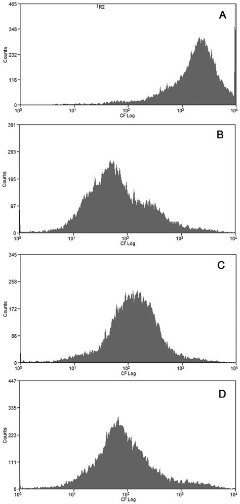 Effect Of Hyperosmolality On The Accumulation Of Cf Total Population