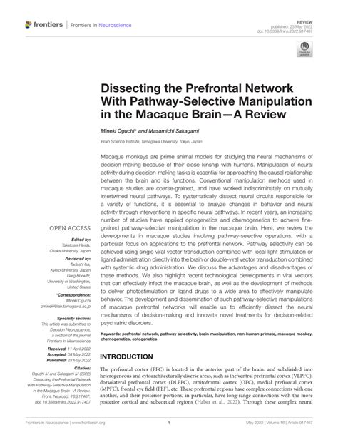 Pdf Dissecting The Prefrontal Network With Pathway Selective Manipulation In The Macaque Brain