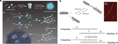 The Interaction Of Nucleic Acids With 0d And 1d Nanostructures A The