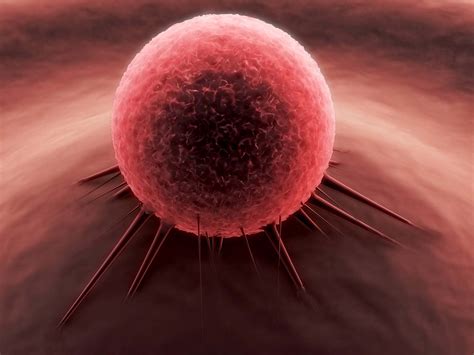 Potential New Way To Suppress Tumor Growth Discovered The Amazing