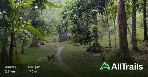 Psu Campus Na Na Chart Phuket Thailand Map Guide Alltrails