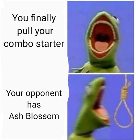 F Master Duel R YuGiOhMemes