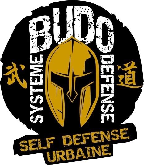 Unity Combat System Peyrehorade