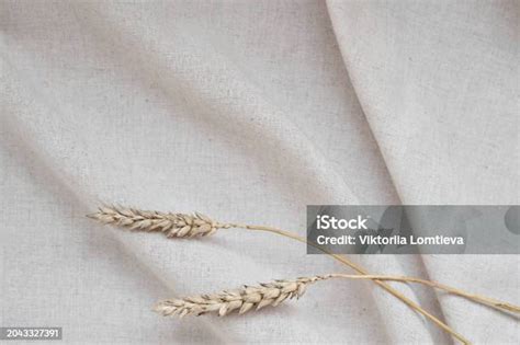 결혼식을위한 미적 미니멀리스트 꽃 배경 비즈니스 브랜드 디자인 서식 파일 중성 베이지 색 주름과 자연광 그림자가있는 부드러운