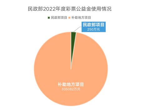 民政部2022年度彩票公益金使用情况公告项目康复协议