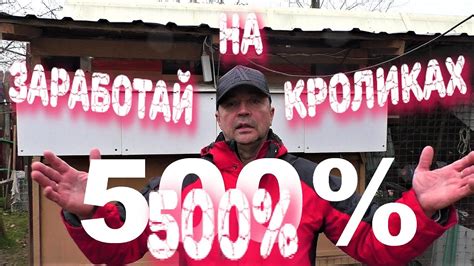 РАЗВЕДЕНИЕ КРОЛИКОВ 🐇прибыль 🤦‍♂️ЛИЧНЫЙ ОПЫТ Кролики содержание и