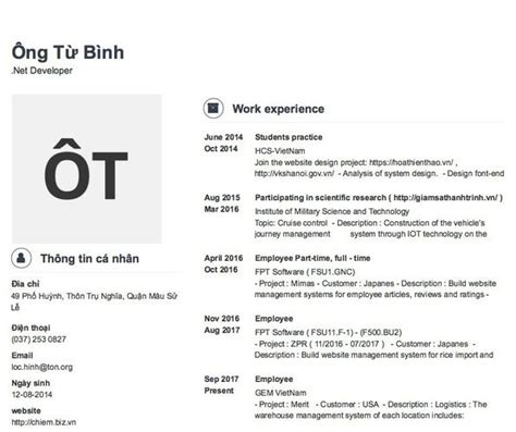 7899 Mẫu Cv Net Developer Thiết Kế Chuẩn Nhất 2025 Bởi Ông T