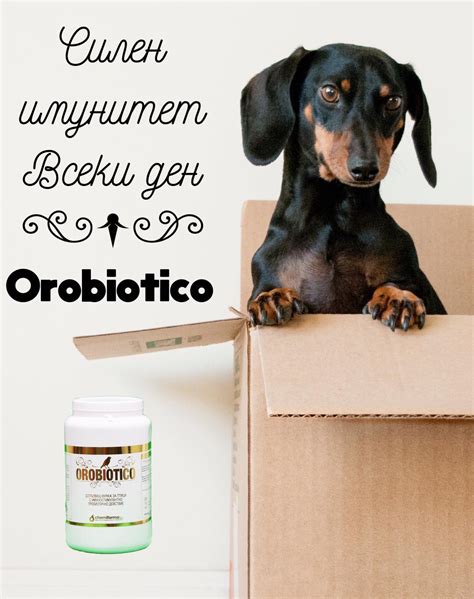 Veterinarna За перфектна форма и здрав организъм 💯💪💪💪 Orobiotico Хранителна