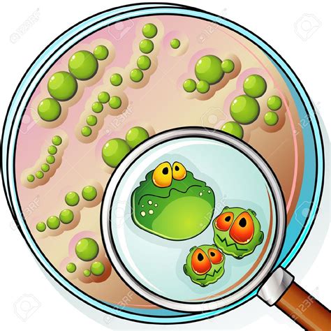 Microbiology Clipart 19 Free Cliparts Download Images On Clipground 2025