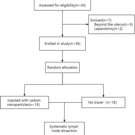 Flowchart Of Carbon Nanoparticles Applied To Systematic Lymph Node