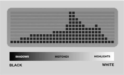 Tutorial Shooting With The New Live Histogram Feature In The Updated ProCamera 3 7 ProCamera