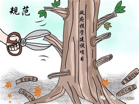 十个工作日内审批政府投资项目！我市出台《汕头经济特区政府投资项目管理条例》