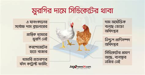মুরগির দামে সিন্ডিকেটের থাবা