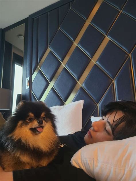 Voici Plus De 10 Photos De La Ligne Maknae De Bts Qui Prouvent Quils