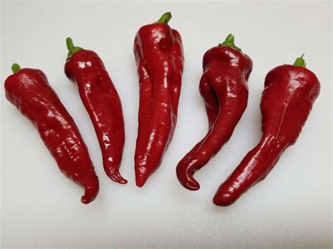 Native Chiles Super Hot Chiles