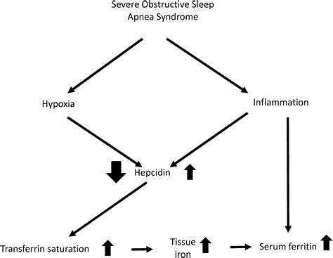 Transferrin Saturation Is Independently Associated With The Severity Of Obstructive Sleep Apnea