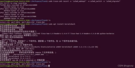 linux perf性能分析火焰图 papaofdoudou的博客 csdn博客 perf火焰图 分析
