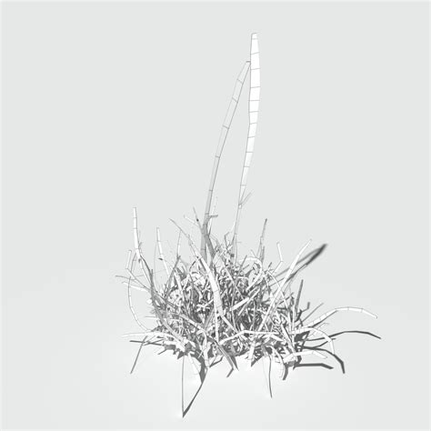 Perennial Ryegrass Pack Model Turbosquid 1456653